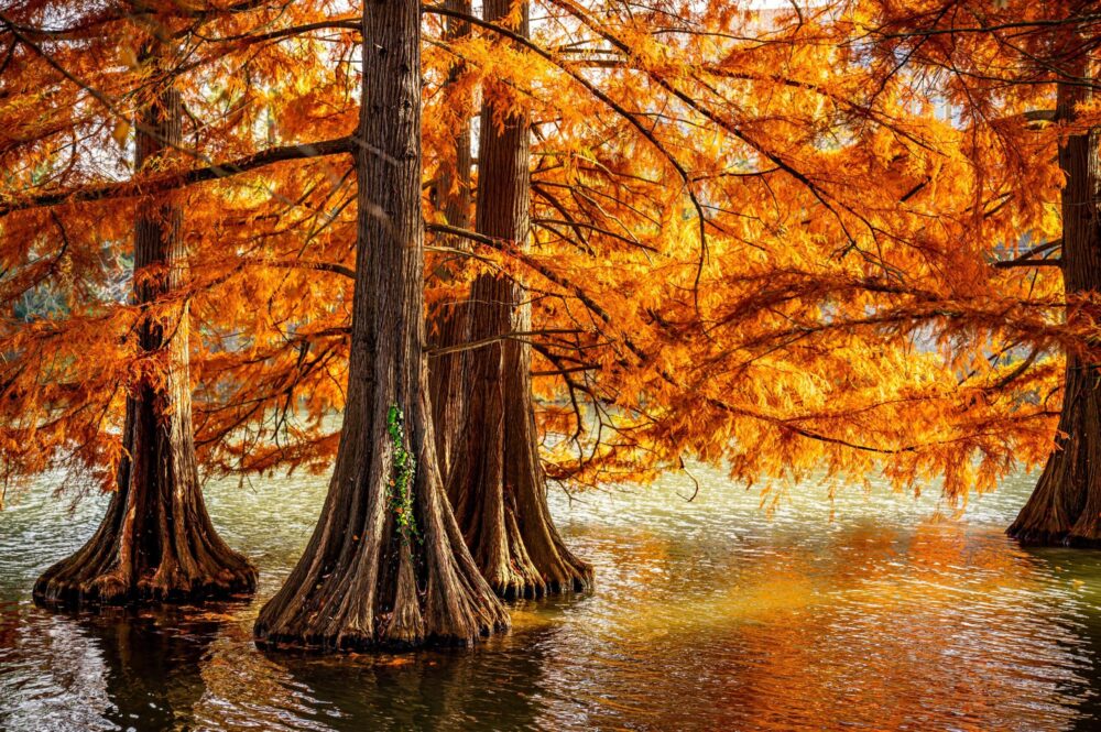 Szarvas és környéke top10 nevezetességek, látnivalók, programok ...