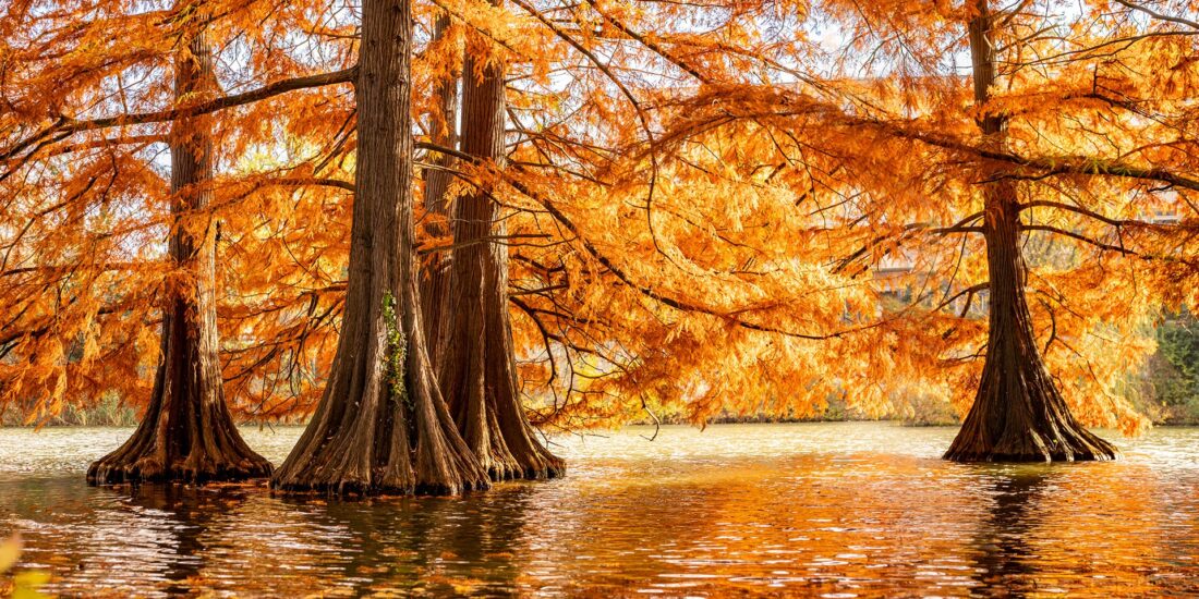 Szarvas és környéke top10 nevezetességek, látnivalók, programok ...